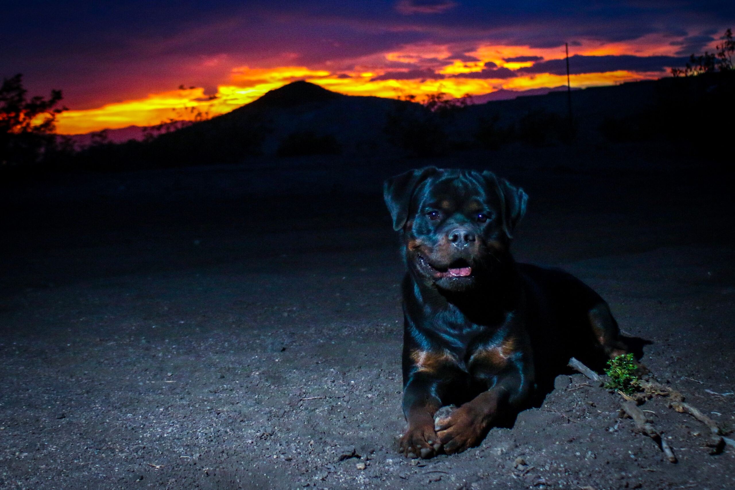 Beyond Journey | Clydean O'Conner